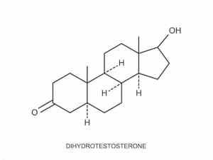 Boosting DHT: A Guide on How to Boost Your DHT Naturally. - Full Time ...